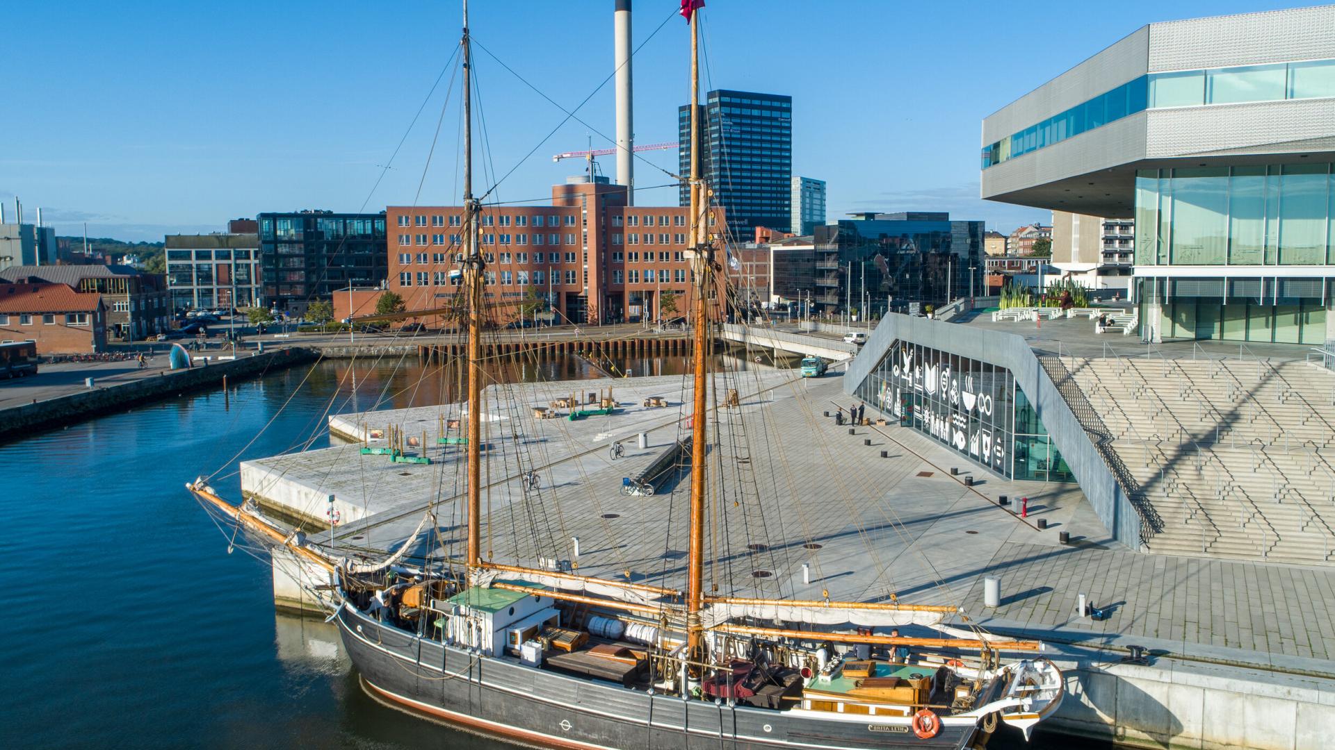 Library Professionals | Dokk1